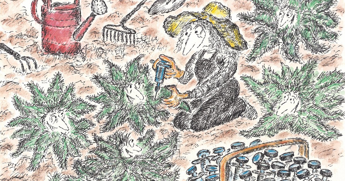 A New Cartoon by The New Yorker’s Edward Koren ’57 | Columbia College Today