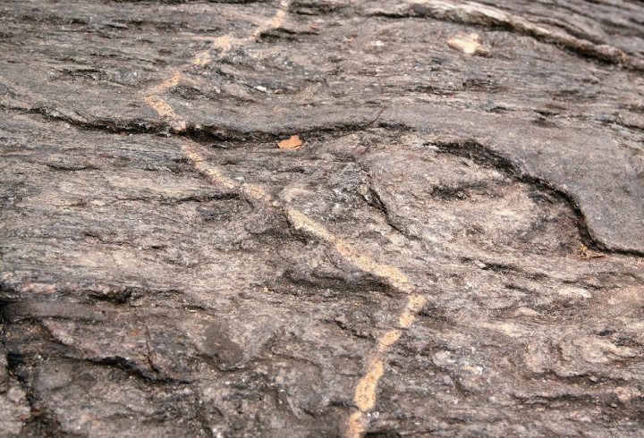 Geology Rocks! | Columbia College Today