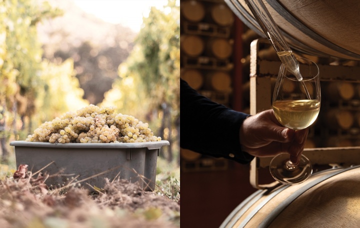 The Winemaker’s Way | Columbia College Today