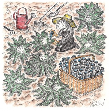 Remembering a Master Cartoonist | Columbia College Today